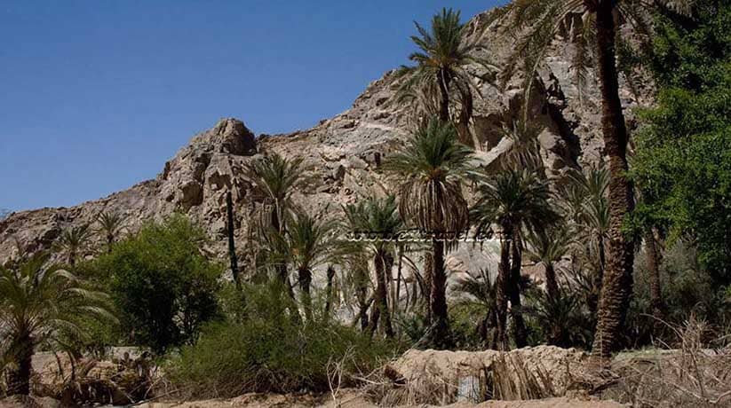 Wadi Feiran Dahab Egypt tours, prices, booking, reviews