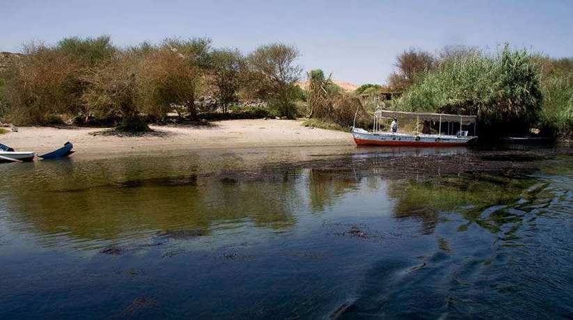 Saluga and Ghazal Islands Aswan Egypt prices, tours