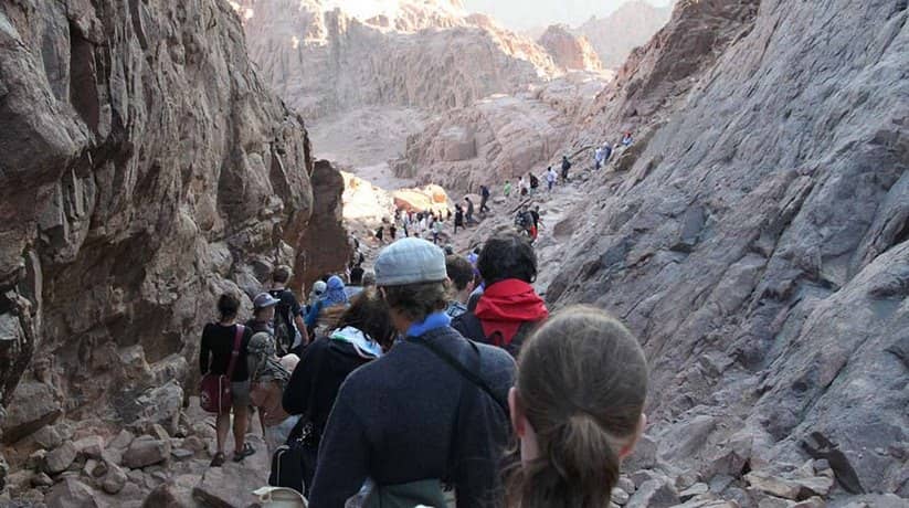 Sinai Mount Trekking Egypt tours, prices, booking, reviews