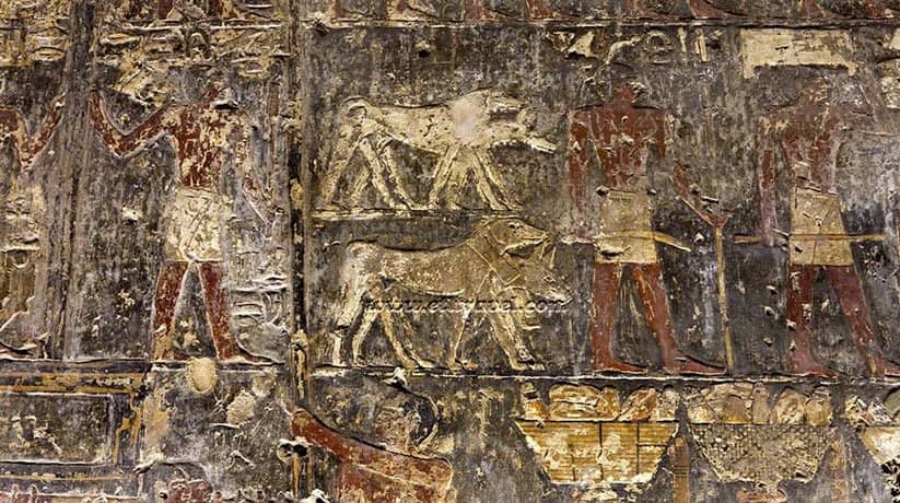 Asyut Egypt information, attractions, tours. prices and online booking