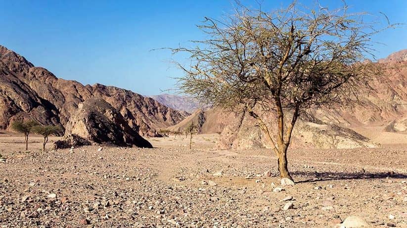Gabal Elba National Park Marsa Alam, Egypt, tours