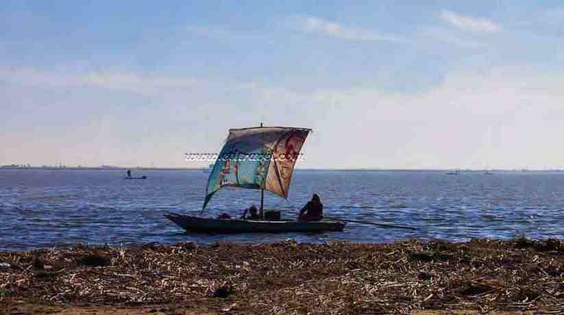 Burullus Lake Alexandria Egypt tours, booking, prices