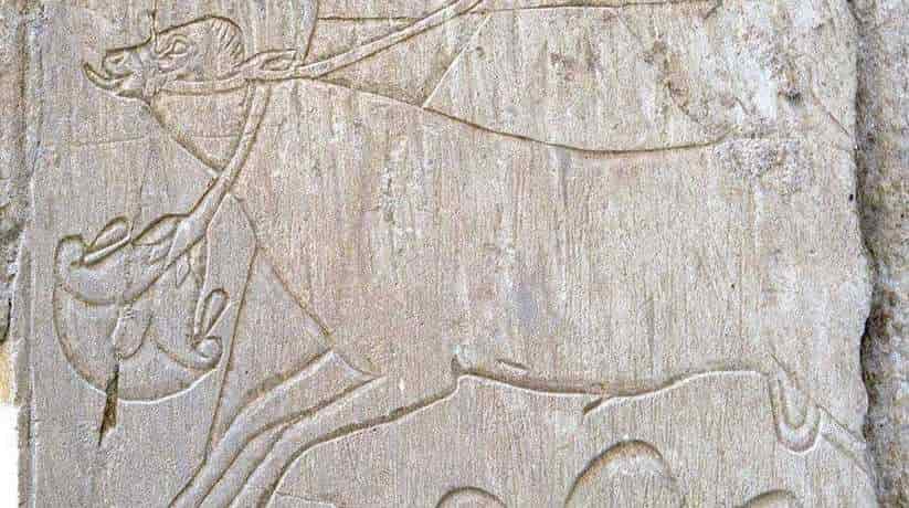 Ankh hor tomb Luxor Egypt tours, booking, prices, reviews