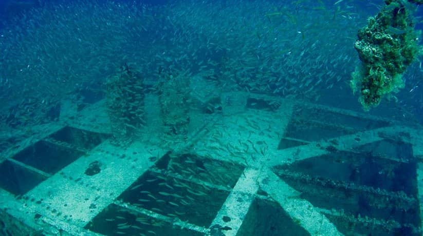 Rosalie Moller Wreck information, tours, prices, booking