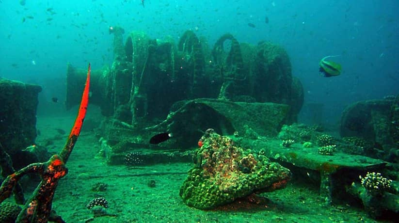 Rosalie Moller Wreck information, tours, prices, booking